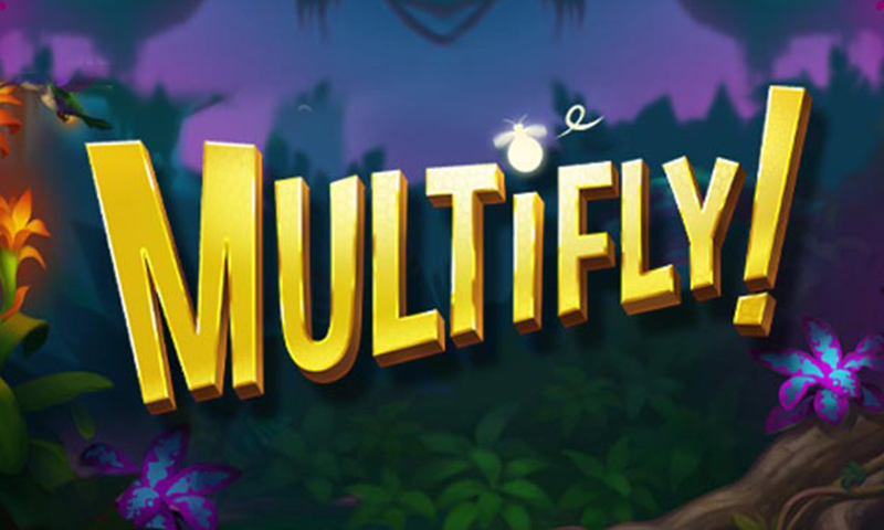 Multifly Slot Free Demo Play or for Real Money - Correct Casinos